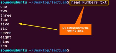 The “head” Command In Linux 7 Practical Examples Linuxsimply