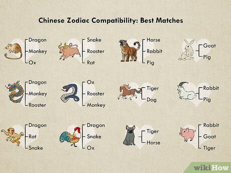 Chinese Zodiac Friendship Compatibility Chart 60 Photos