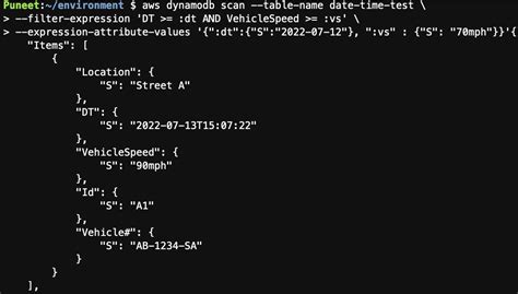 Working With Date And Timestamp Data Types In Amazon DynamoDB Data