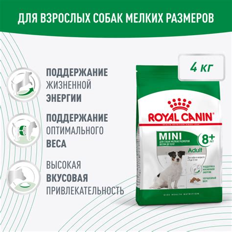Royal Canin Mini Adult 8+ сухой корм для пожилых собак мелких пород ...
