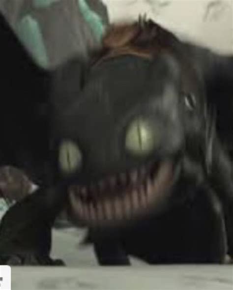 Pin By Noodle On Memememe Httyd Funny How Train Your Dragon Cute