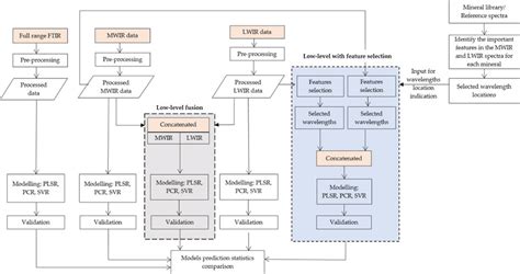 Workflow Diagram Depicting The Steps Of The Low Level Fusion 1