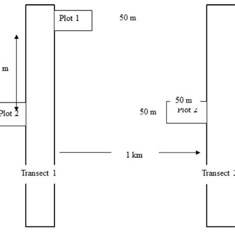 Sample Plots Layout Using Systematic Sampling Technique Download Scientific Diagram
