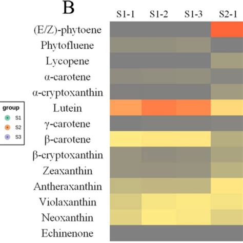 Preliminary Analysis Of Metabolome Data A Pca Score Plot Of Mass Download Scientific Diagram
