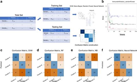 Classifier Construction Based On Key Immune Related Genes A Schematic