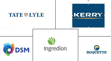 유럽 설탕 대체 시장 규모 및 점유율 분석 산업 연구 보고서 성장 동향 유럽 설탕 대체 시장 규모 및 점유율 분석 산업 연구 보고서 성장 동향