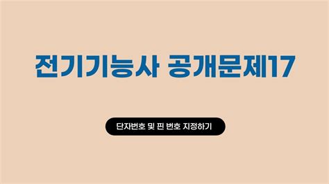 전기기능사 실기 전기기능사 공개문제17번 단자대 번호 및 핀 번호 지정 영상 전기 전기기능사 공개문제 단자대번호
