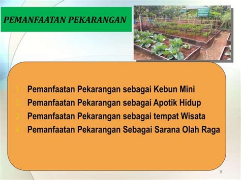 Materi Inovasi Pemanfaatan Pekarangan PPT
