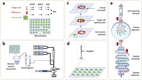 Recent Advances In Microfluidics For Single Cell Functional Proteomics