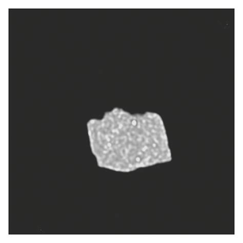 the process of particle shape reconstruction a sliced image b