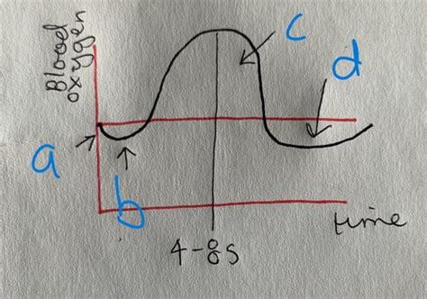 Lecture 8 Flashcards Quizlet
