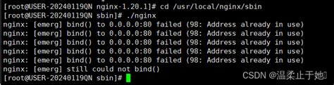 linux下安装nginx步骤 linux的nginx1 20 1 csdn博客
