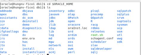 Linux Cannot Start Listener Oracle 12c On Rhel 76 Stack Overflow