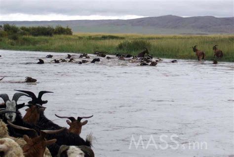Өмнөговь аймгийн Цогтцэций суманд уруйн үер буужээ