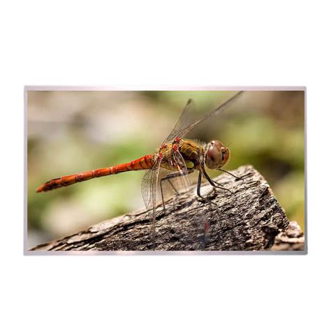 Inch TFT LCD Display X LVDS Interface IPS High Brightness LCD Module YOURITECH