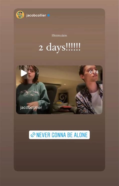 Lizzy Mcalpine Via Ig Story Ig Story Incoming Call Screenshot Never Gonna