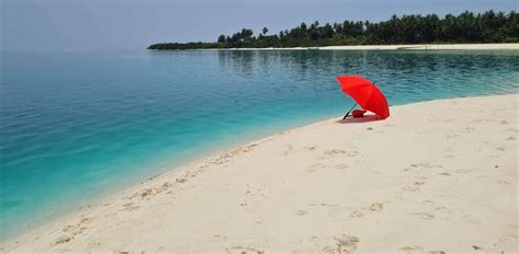 Best Time To Visit Lakshadweep For Perfect Weather