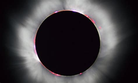 Scott Williamson Writer For Ranker