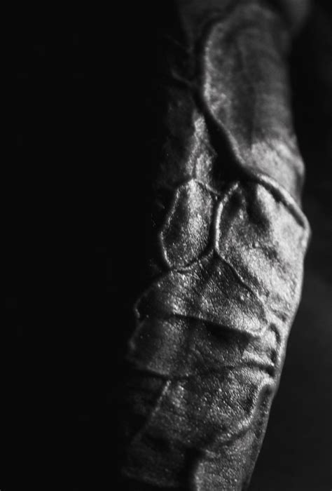 Playing With Light And Shadow Like It Jizzalot23cm