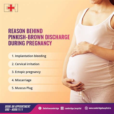 Best Ivf Doctor In Noida Best Ivf Centre In Noida Artofit