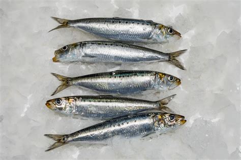Sardines Blue Seas Products