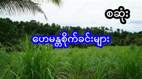 ဟေမန္တစိုက်ခင်းများ စဆုံး Youtube