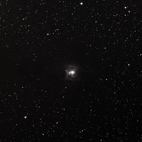 Iris Nebula Members Album Stargazers Lounge