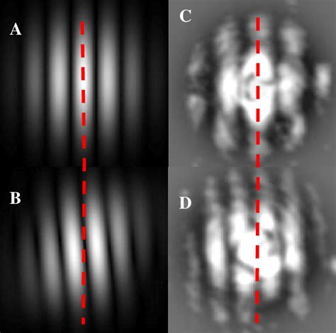 Microscopic Youngs Slits With Optically Trapped Particles A And B