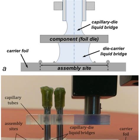 Pdf Capillary Gripping And Self Alignment A Route Toward Autonomous Heterogeneous Assembly