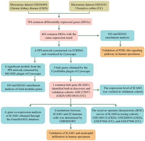 A Cytoscape Plugin To Assess Enrichment Of Ppt Download Lucox Cl