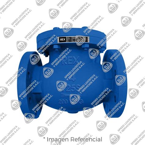 VÁlvula Check Swing Fierro Fundido Astm A126 Clase 125 200 Wog Disco