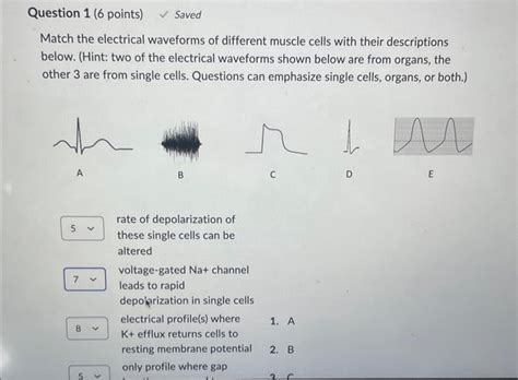 Match The Electrical Waveforms Of Different Muscle