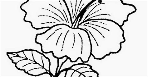 Detail Download Logo Khalifah Pasundancdr Koleksi Nomer 50