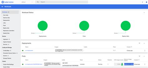 Deploy Nginx Custom Website On Kubernetes With AWS ECR