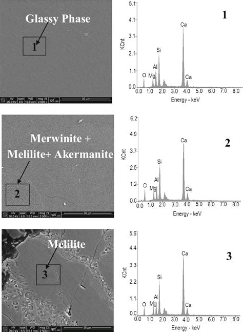 Micrographs By Scanning Electron Microscopy Secondary Electron Image