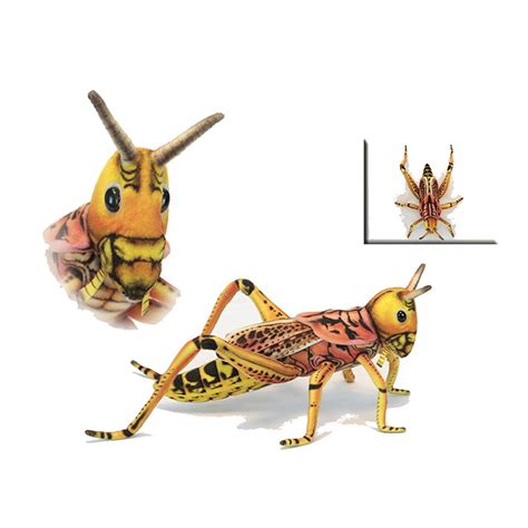 Toy Grasshopper At Heriberto Barry Blog