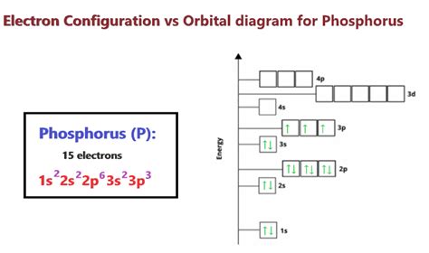 Phosphorus Orbital Diagram Electron Configuration And Valence Electrons