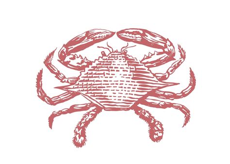 바탕 에 고립 된 터 일러스트레이션 프리미엄 벡터