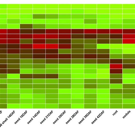 Heatmap Visualization Of Relative Gene Expression In Different