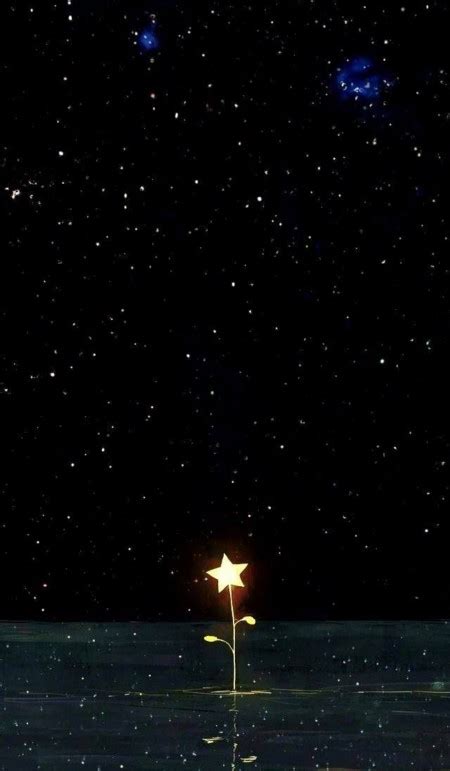 عکس های پس زمینه ستاره بهترین تصاویر ستاره پیشنهادی تاوعکس