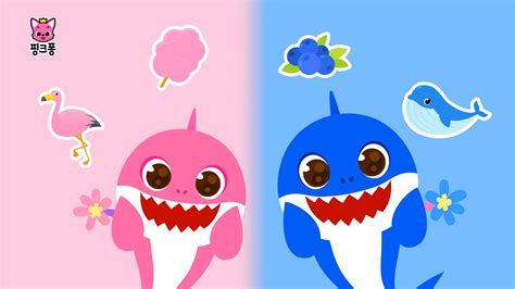 핑크퐁 아기상어 색깔 동요 2022 볼 수 있는 곳