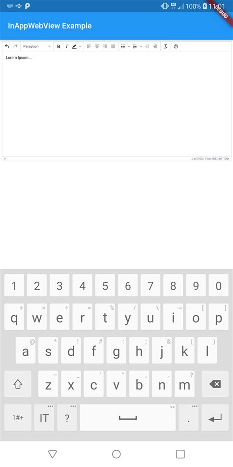 Is There A Way To Import External Scripts In Flutter Webview Stack
