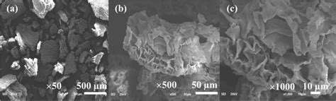 Different Magnifications Sem Micrographs A ×50 B ×500 And C ×1000