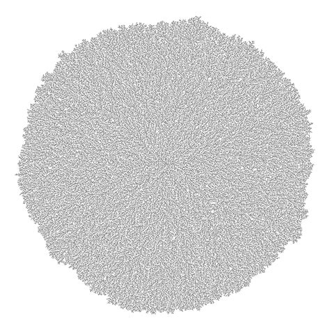 Simple Growth Algorithm Simple Growth Algorithm