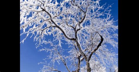 Ако сте Овен Лъв и Стрелец в петък ще имате благоприятен ден За Жената
