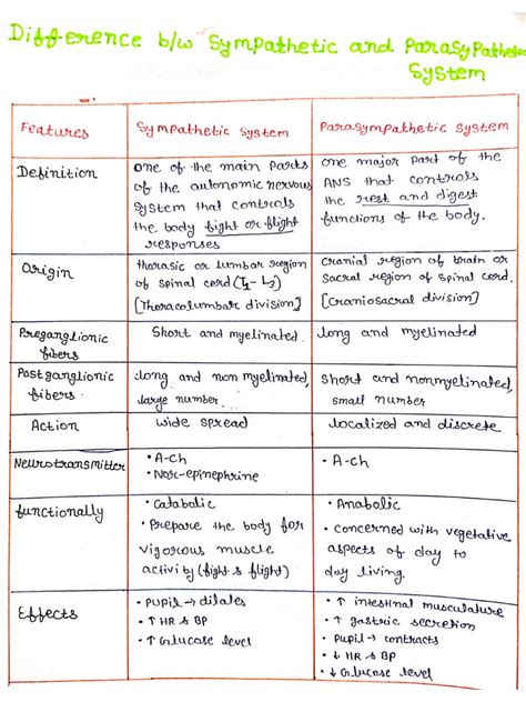 Difference Between Sympathetic And Parasympathetic System Pdf
