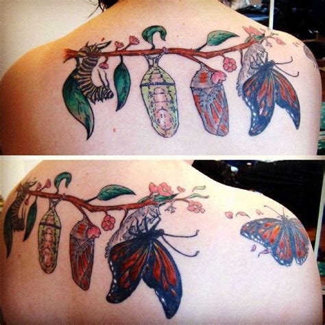 Metamorphosis Butterfly Tattoo