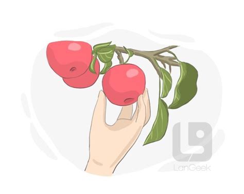 Definition And Meaning Of Plunk Langeek