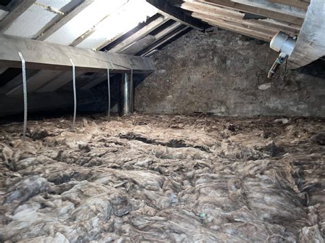 The Different Types Of Insulation Clean Loft Solutions