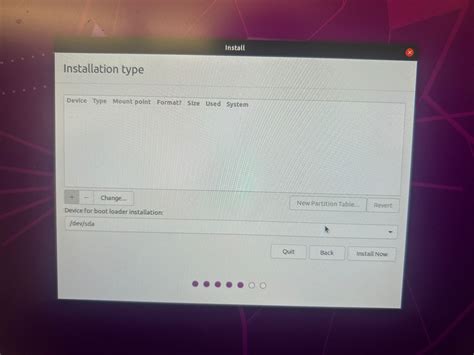 Unable To Set Up The Partitioning During Ubuntu 2004 Installation With